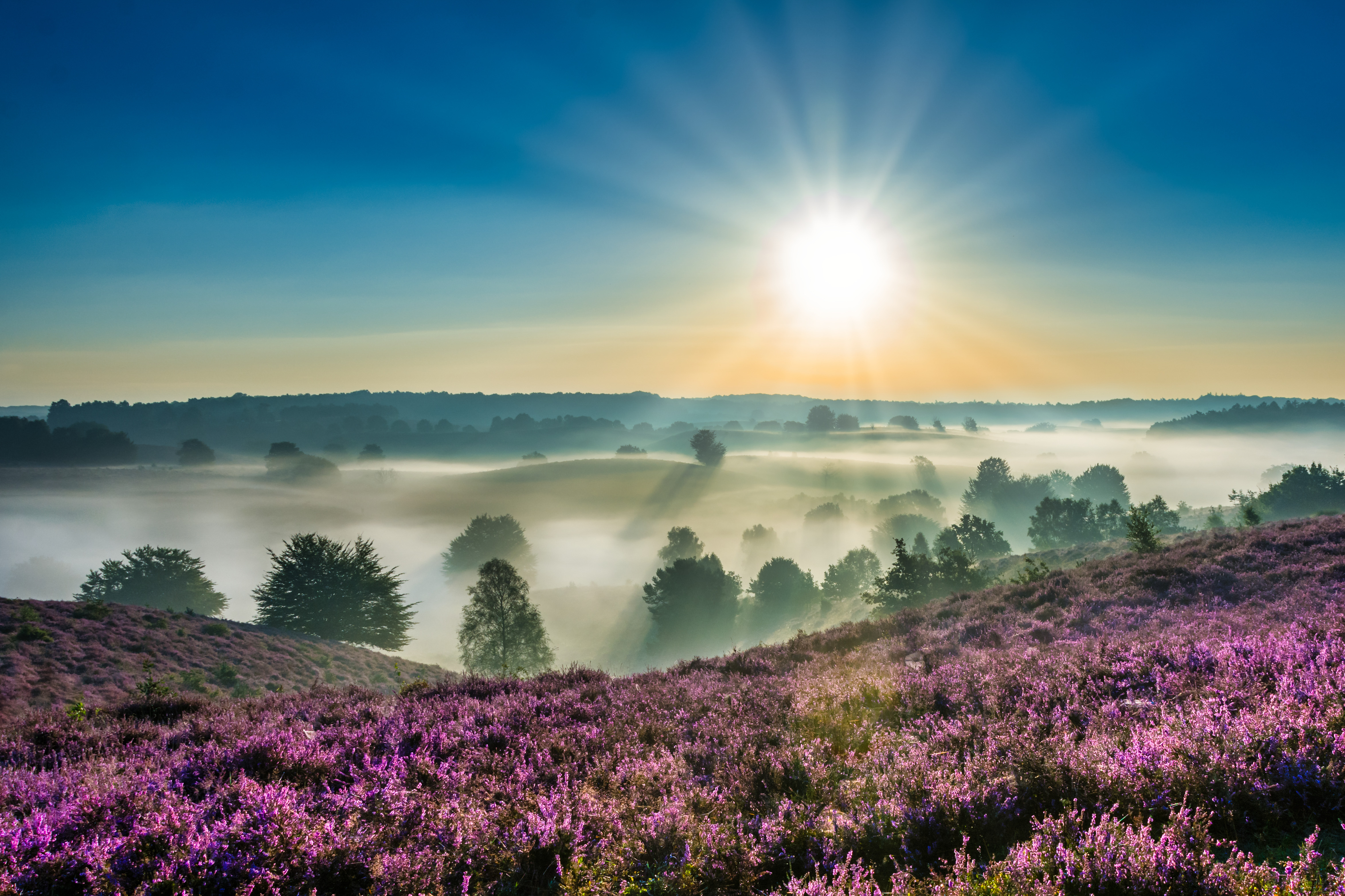 “Heidelandschap op de Posbank” van Johannes Weyers, 1ste prijs Duitsland.